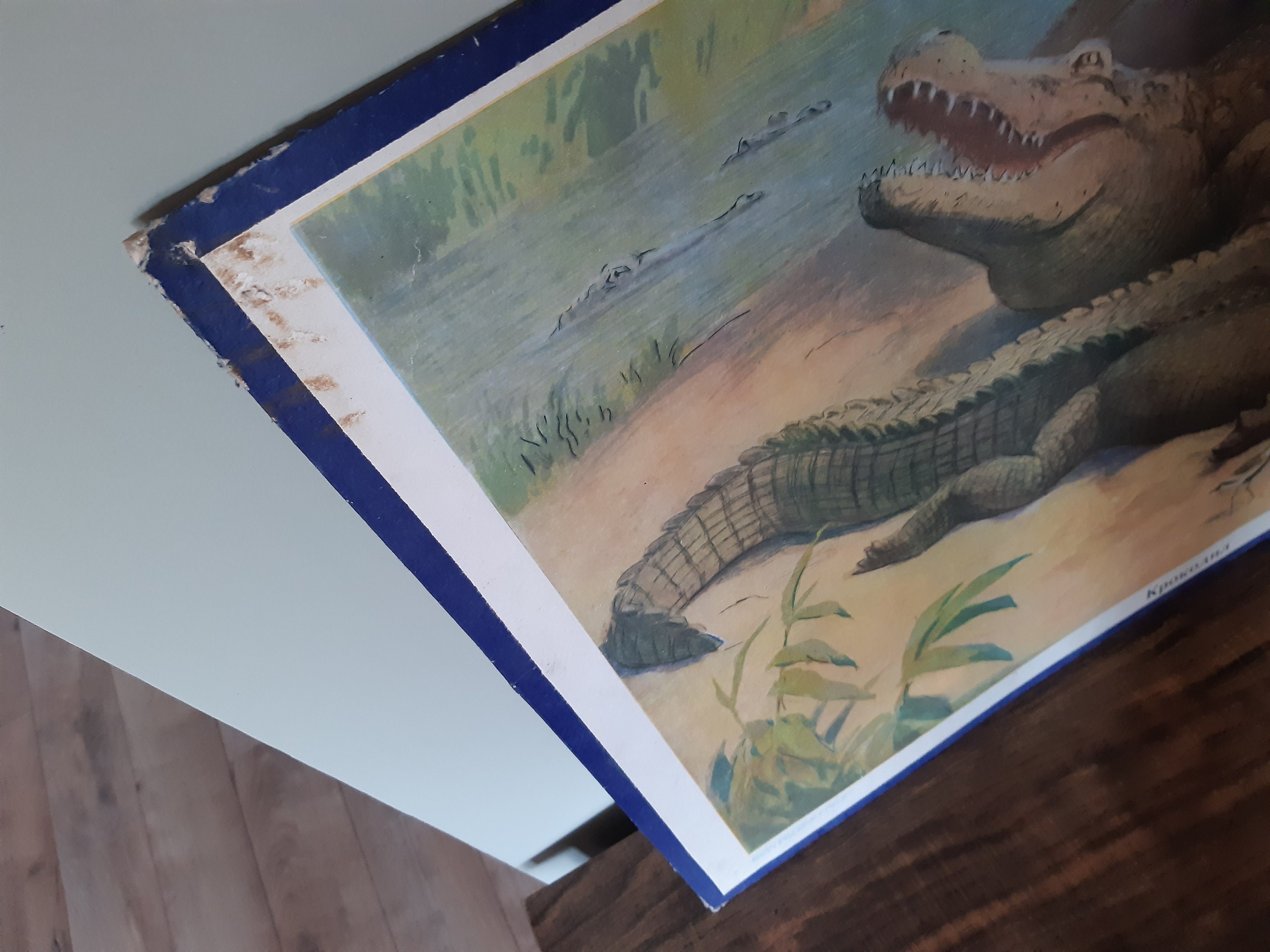 1958 vintage Wall Board, Crocodiles, Poster on Hardboard, vintage ...
