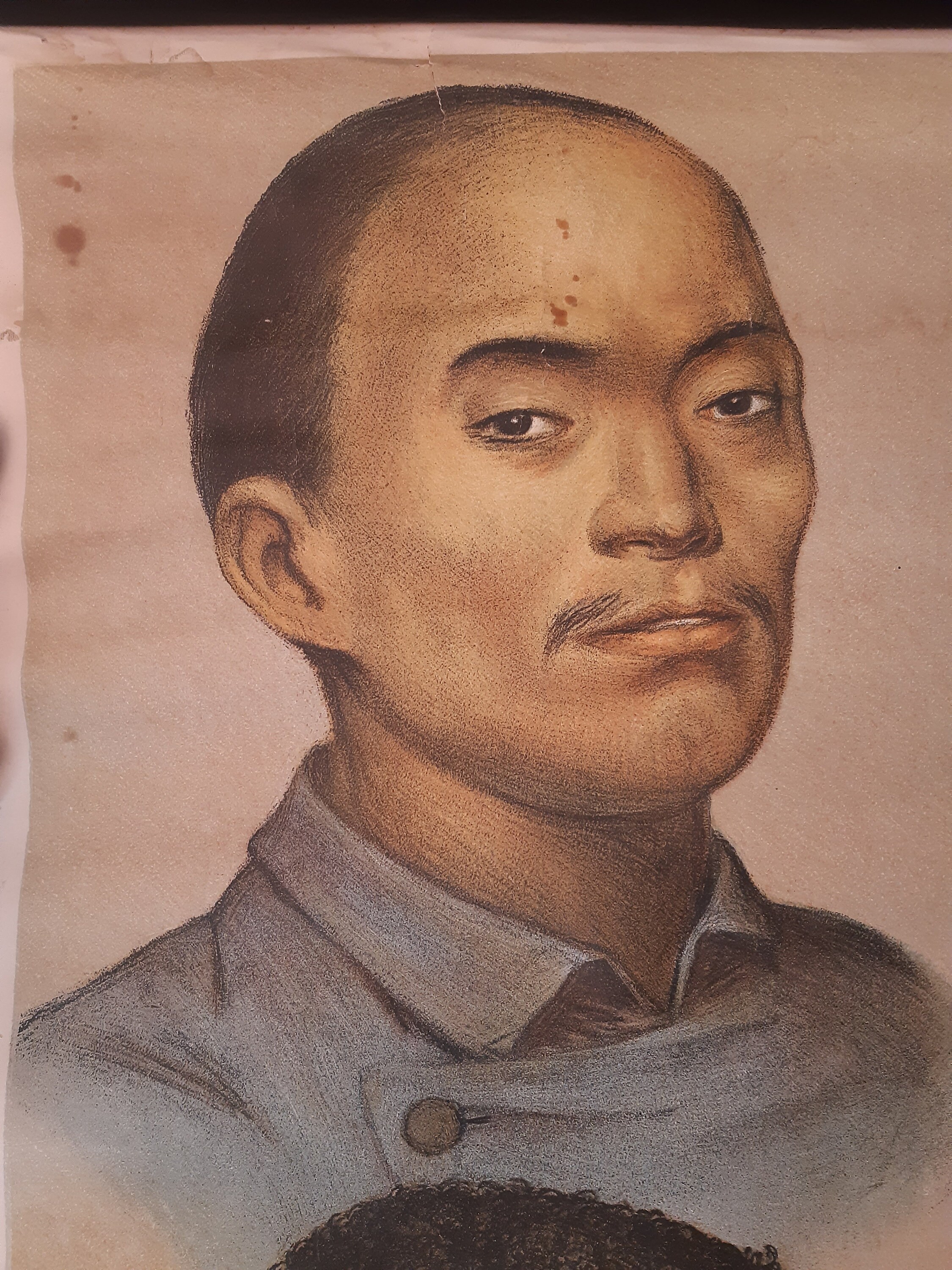 RARE Old Poster,the Five Human Races,vintage Educational Poster,early ...