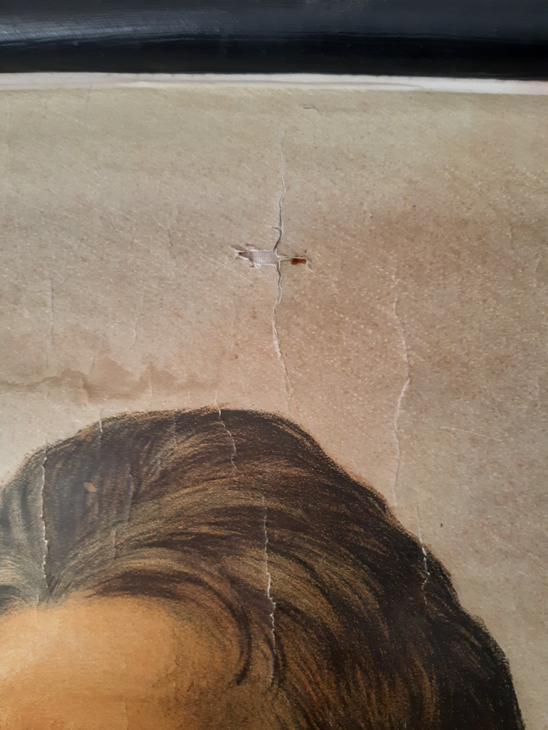 RARE Old Poster,the Five Human Races,vintage Educational Poster,early ...