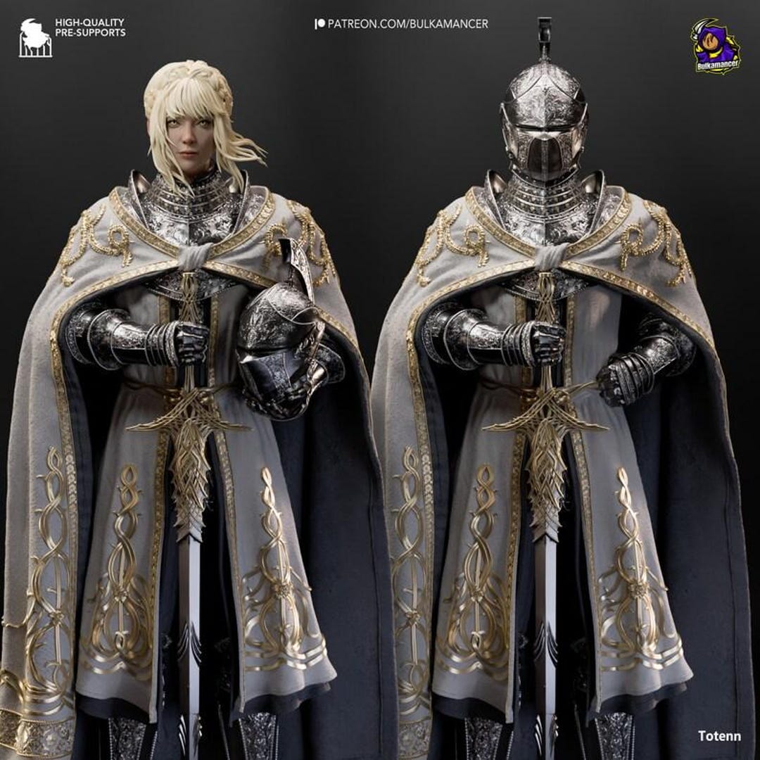 Knight of the Kind Lord, 3D Printed Resin 16K, Hand-painted, 220mm - Etsy