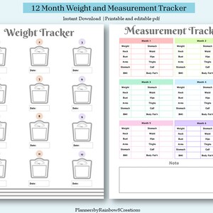 Weight Loss Tracker, Printable, Digital, Editable PDF, 12 Month Weight ...