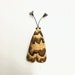 Ceramic Moth Wall Decoration Handmade - Etsy