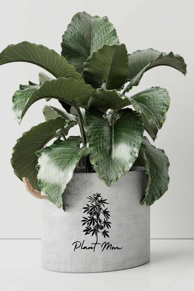 Plant Mom Svg | Marijuana Mama | SVG File | 420 Svg | Weed Leaf SVG ...