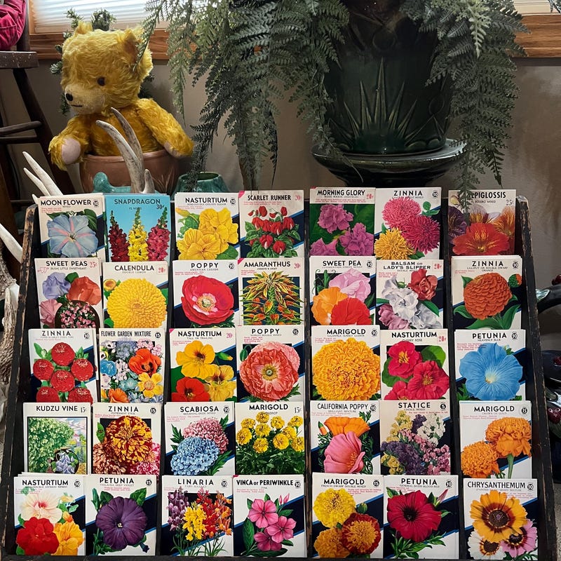 Antique Seed Displays - Etsy