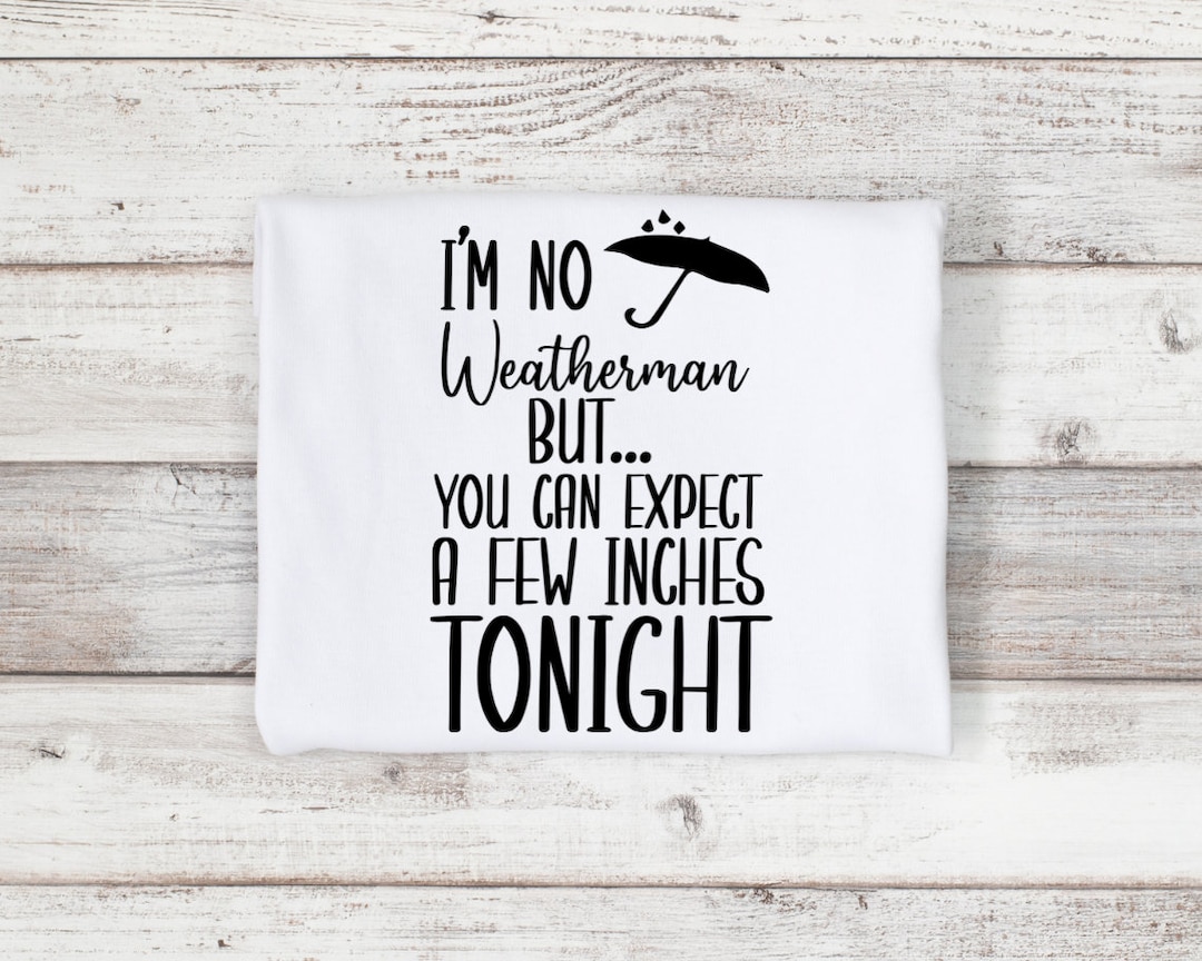 I'm No Weatherman Shirt, Adult Humor Tee, Offensive T-shirts for Men ...