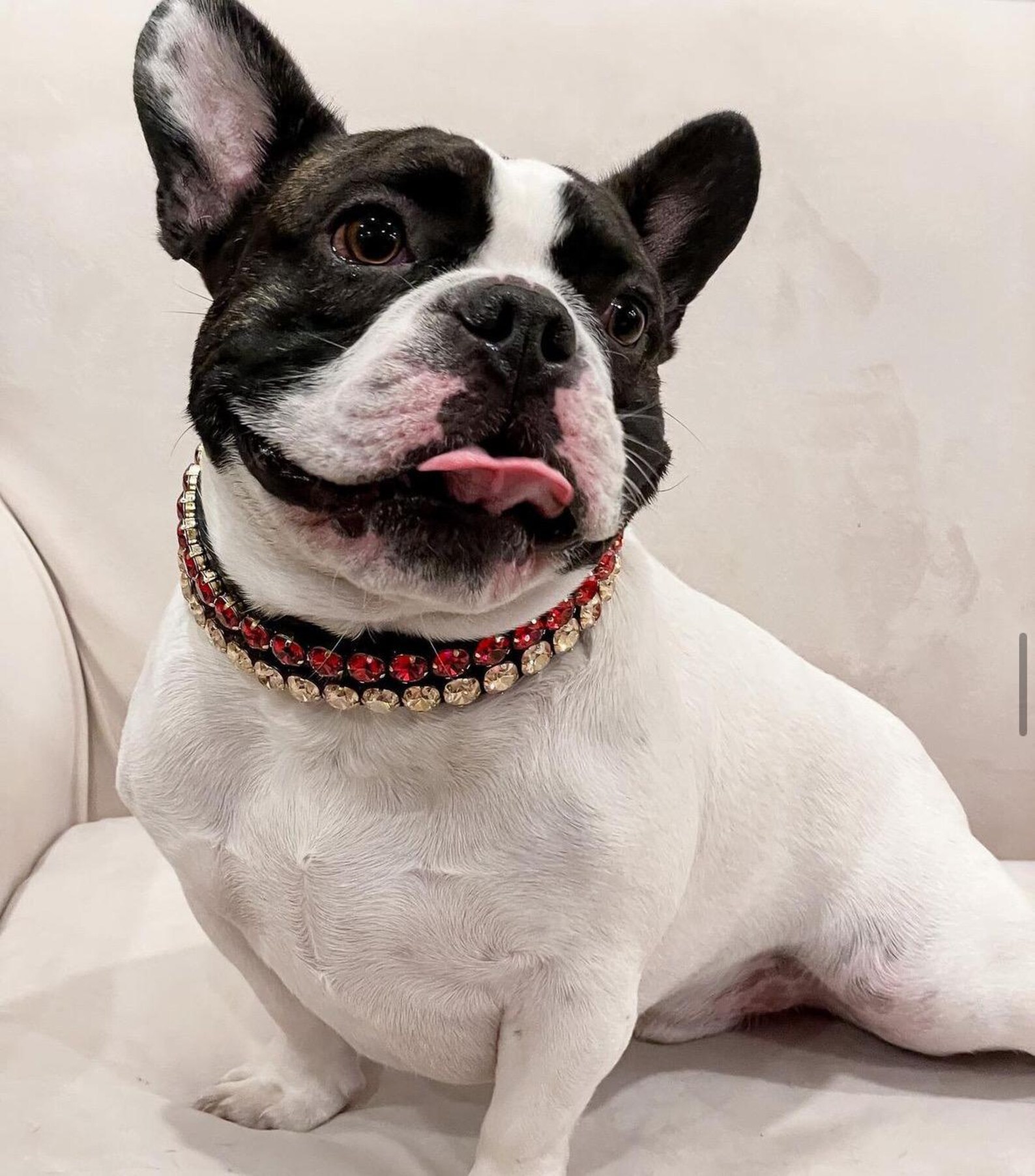 Dog/cat Jewelry, Bling Collar, Gem Collar, Austrian Crystals, Collar ...