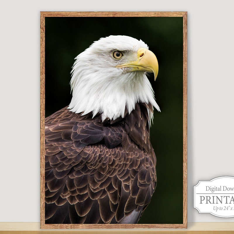 Eagle Scout Printables - Etsy