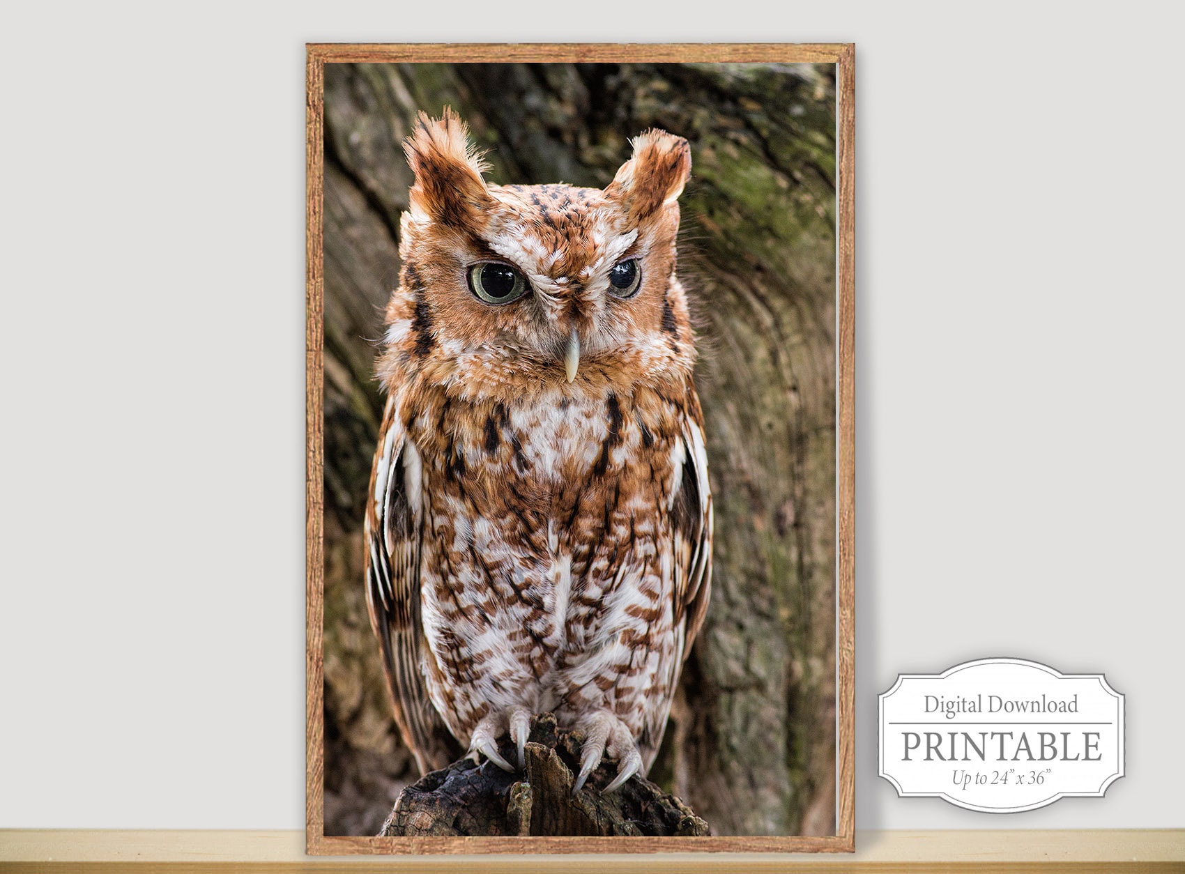 Printable Eastern Screech Owl, Wildlife Wall Décor Instant Download ...