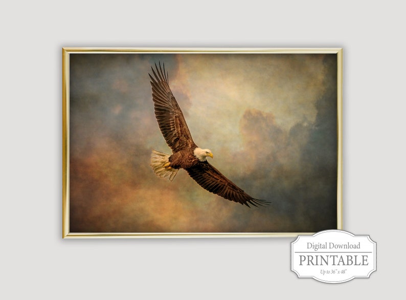 Bald Eagle Digital Download, Bald Eagle in Flight Photo Art, Bald Eagle ...