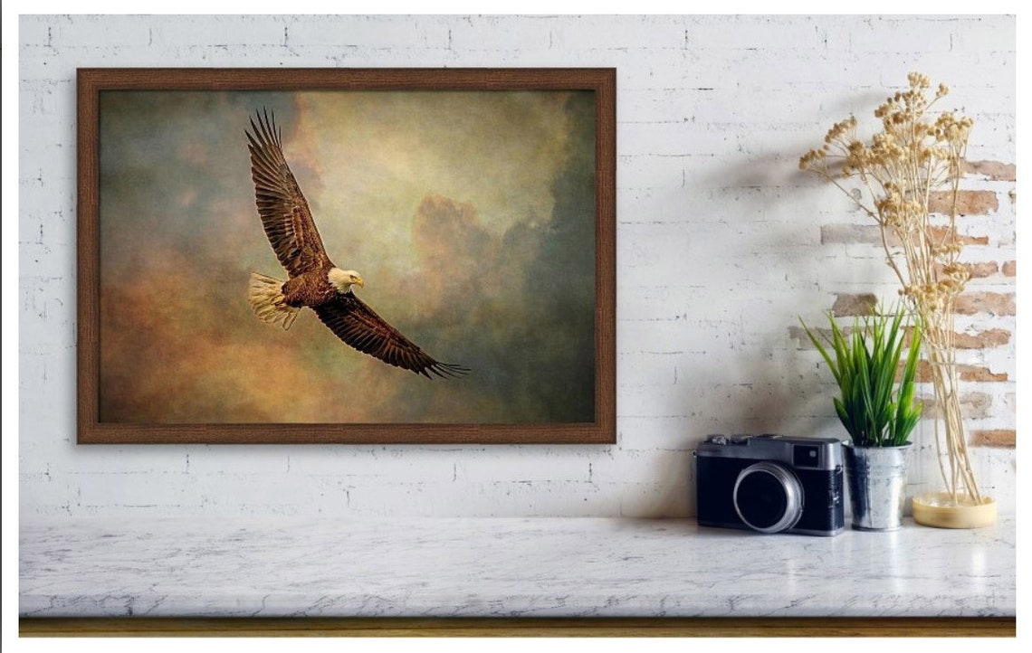 Bald Eagle Digital Download, Bald Eagle in Flight Photo Art, Bald Eagle ...