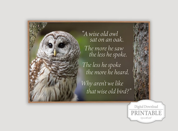 Owl Wise Quotes Owl Wisdom Quotes