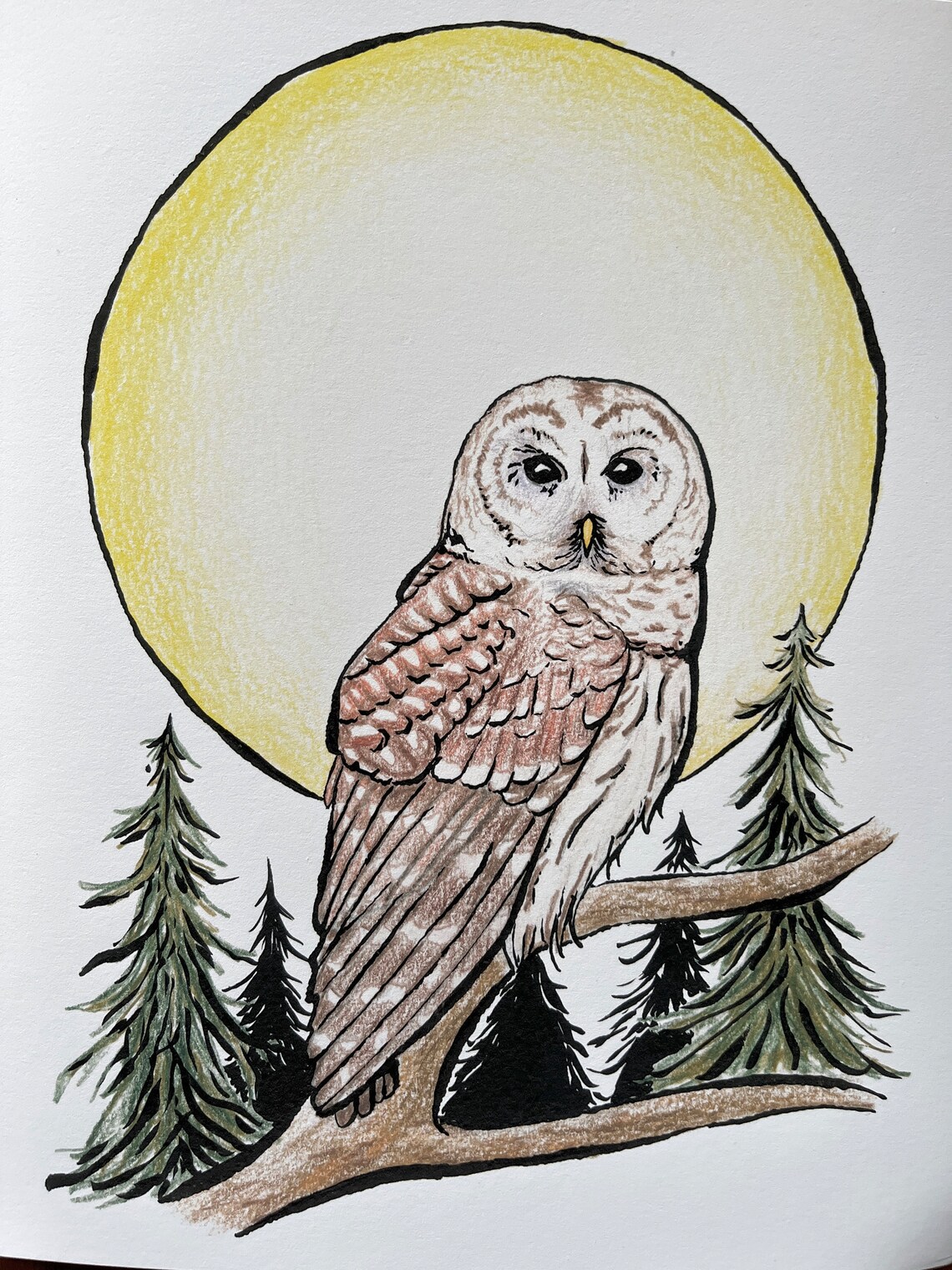 Barred Owl Art Print, 8x10 Inch Print, Bird Art, Bird Lover Gift, Wall ...