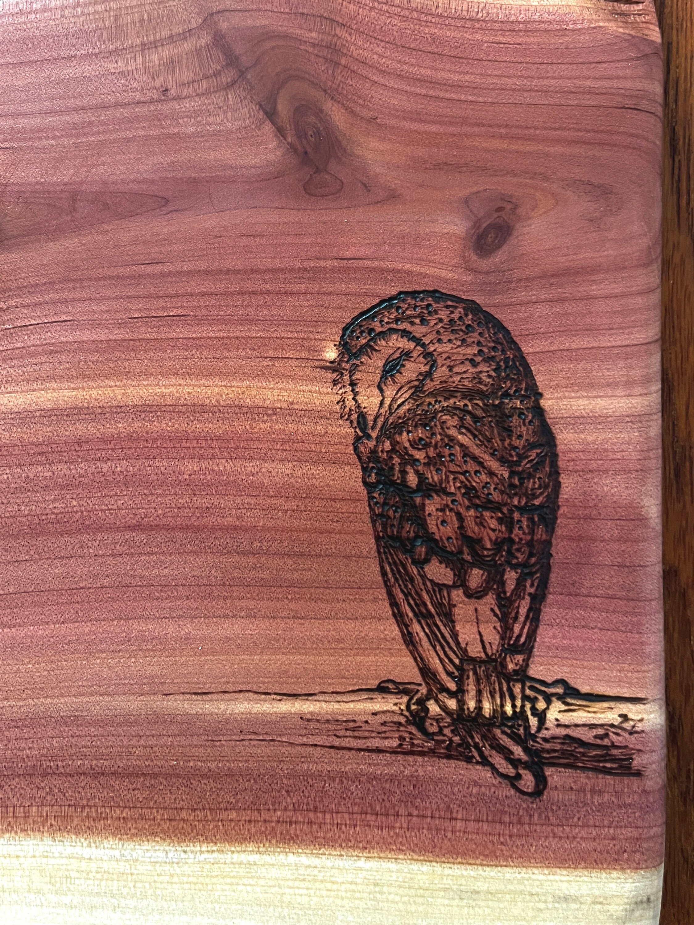 Serving Board, Barn Owl Drawing, Cedar Board, Original Art, Pyrography ...