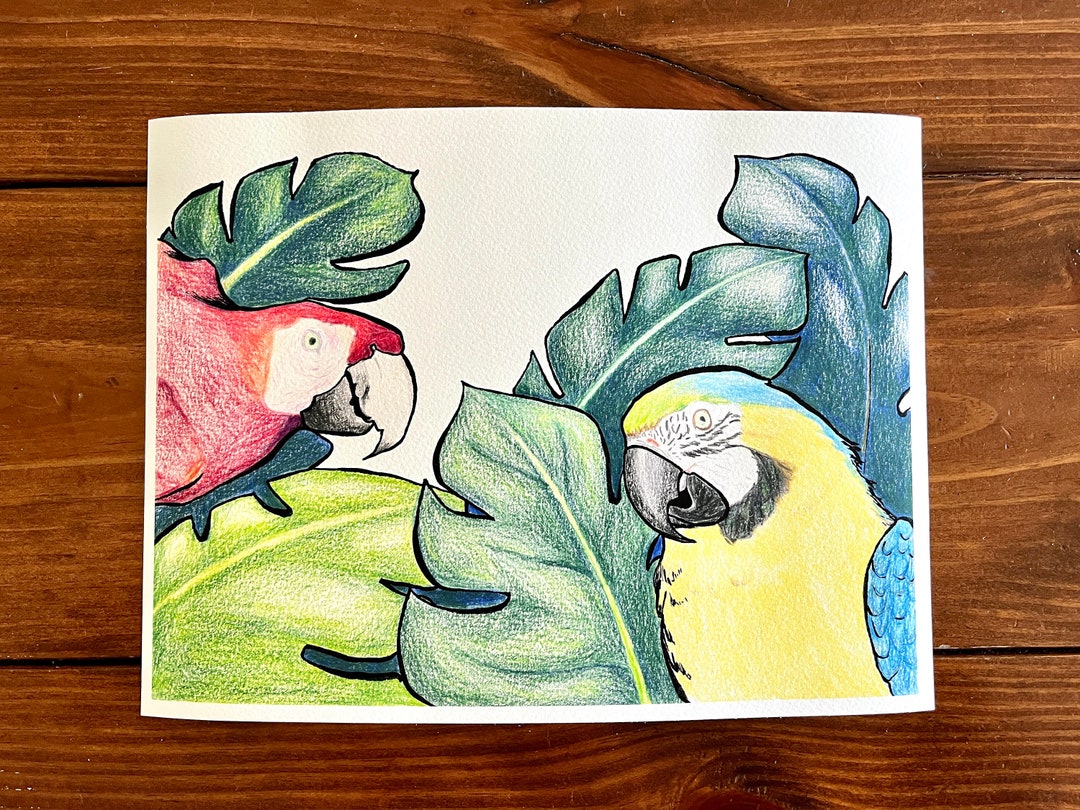 Macaw Art Print, Original Colored Pencil Drawing, 9x12 Bird Wall Decor ...