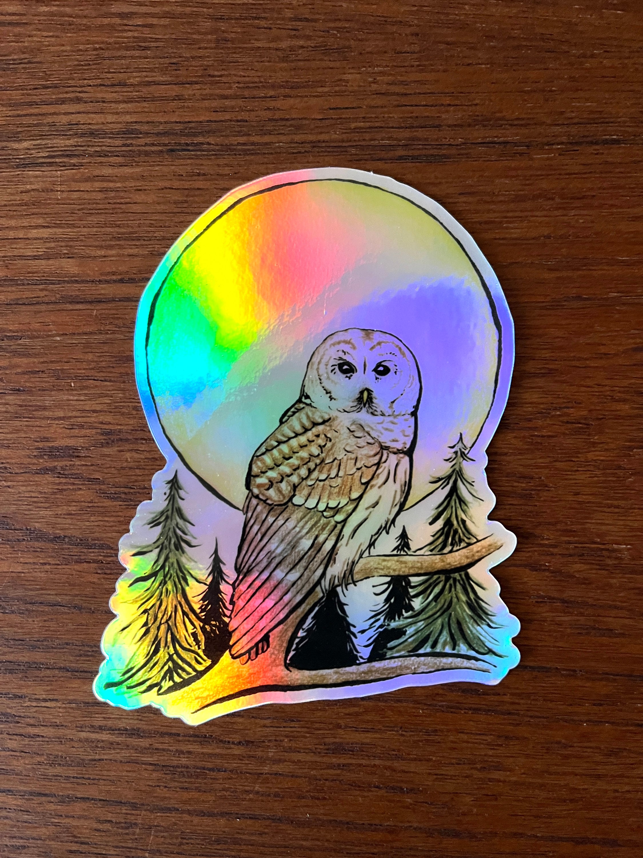 Holographic Vinyl Owl Sticker for Laptop, Water Bottle, Folder, Bird ...