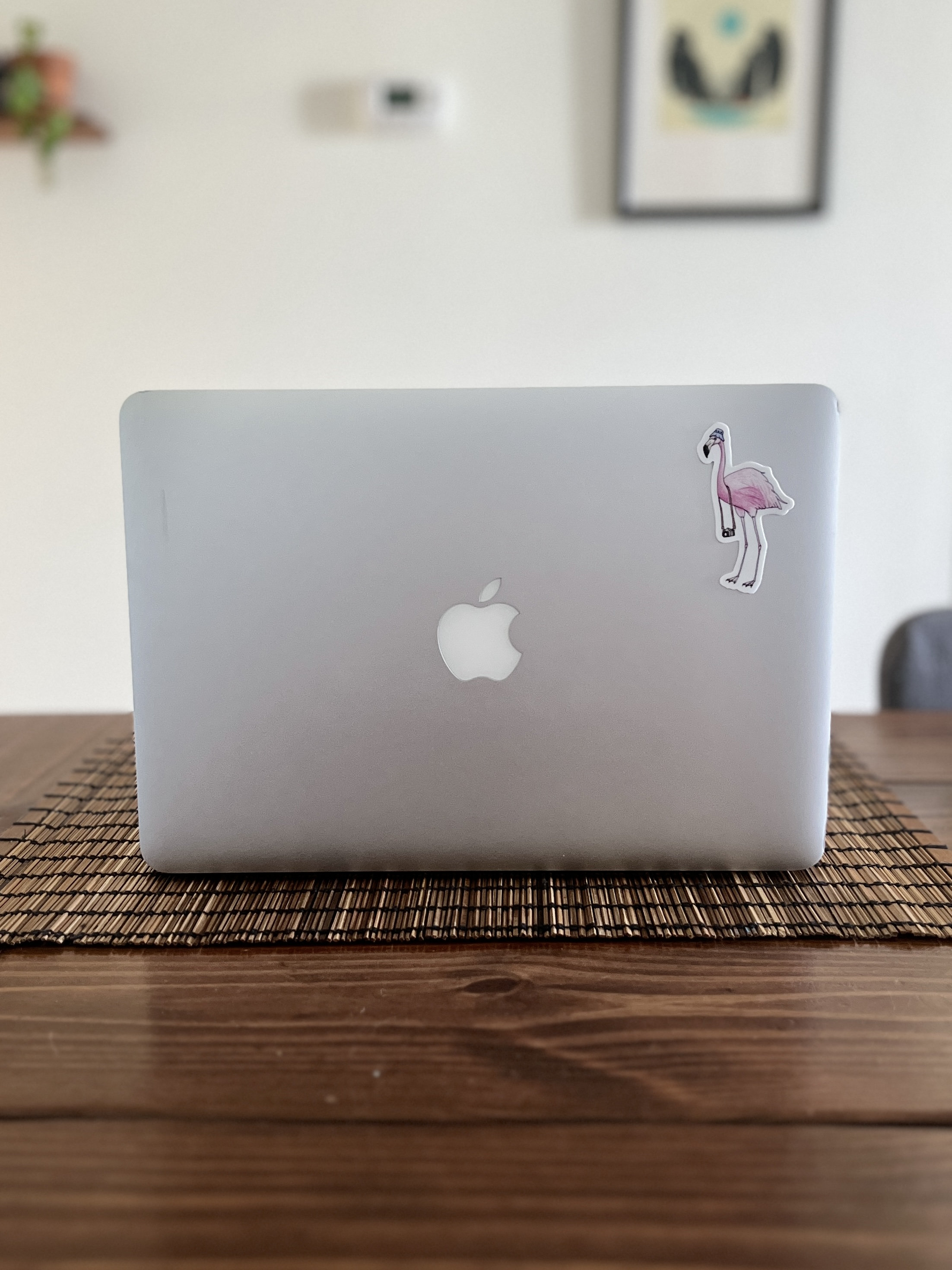 Vinyl Sticker for Laptop Water Bottle Window Folder Bird - Etsy