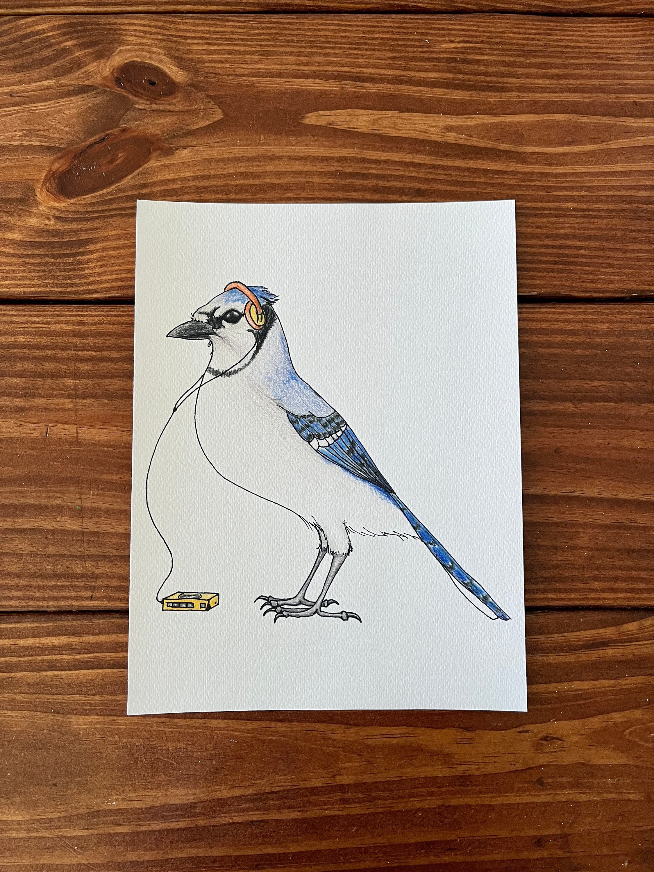 Blue Jay Bird Print, 9x12 Print of Original Art, Wall Decor, Bird Art ...