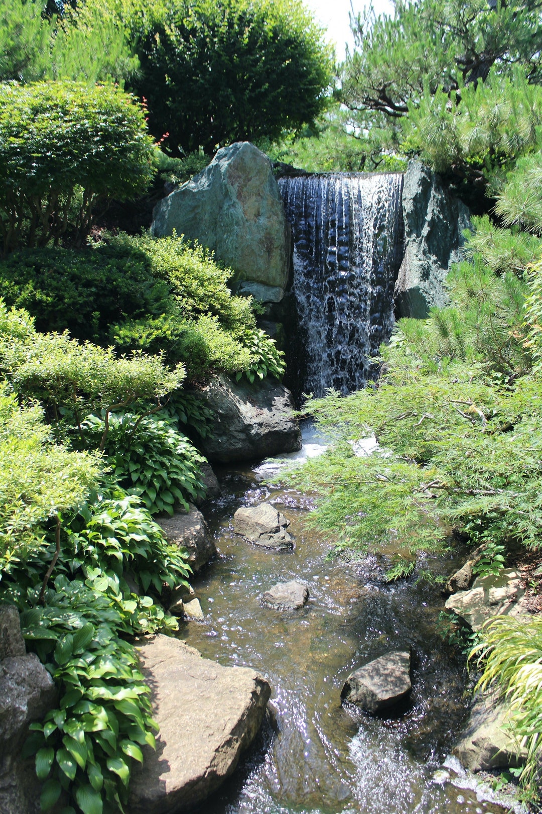 Botanical Garden Waterfall Photo Print, Framed Wall Art - Etsy