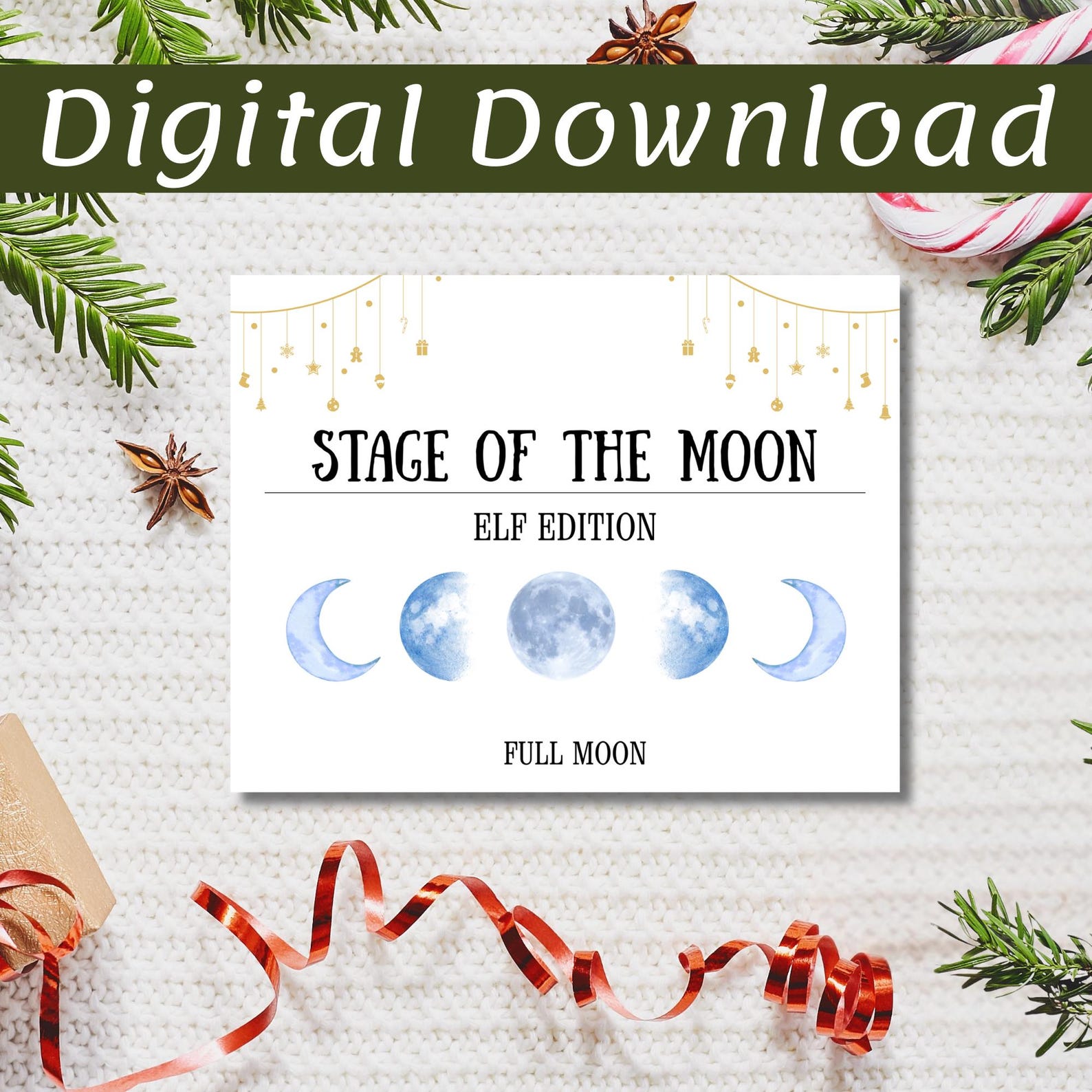 Stages of the Moon Printable | Moon Phases Learning Card | Science ...