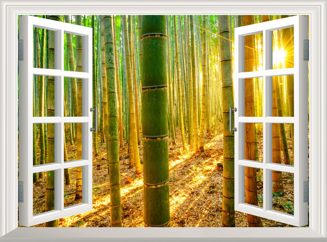 Bamboo Forest 3D Window View Wall Sticker Wall Mural Path - Etsy