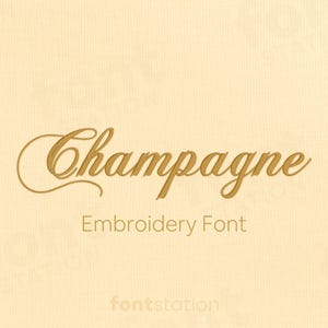 Champagne Embroidery Font - Calligraphy Letters - Elegant, Decorative ...