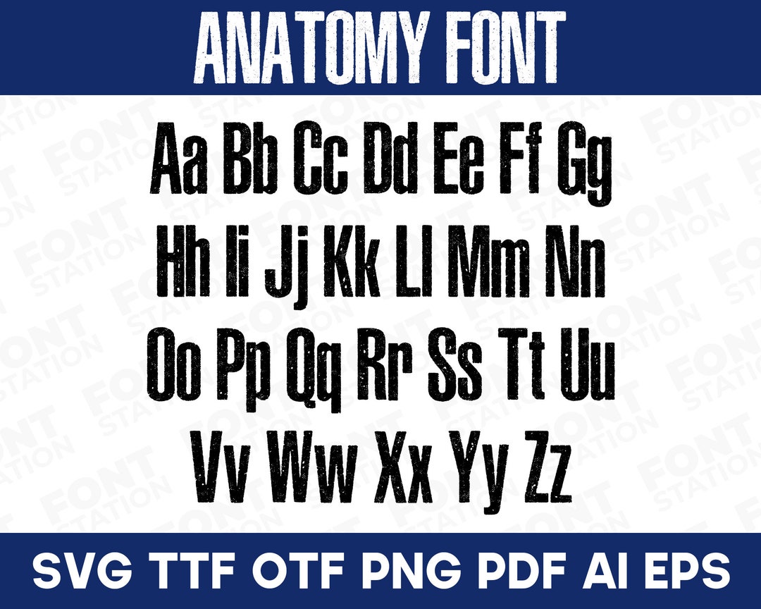 Buy Anatomy Font Doctor SVG Anatomy Cricut Silhouette Online in India ...