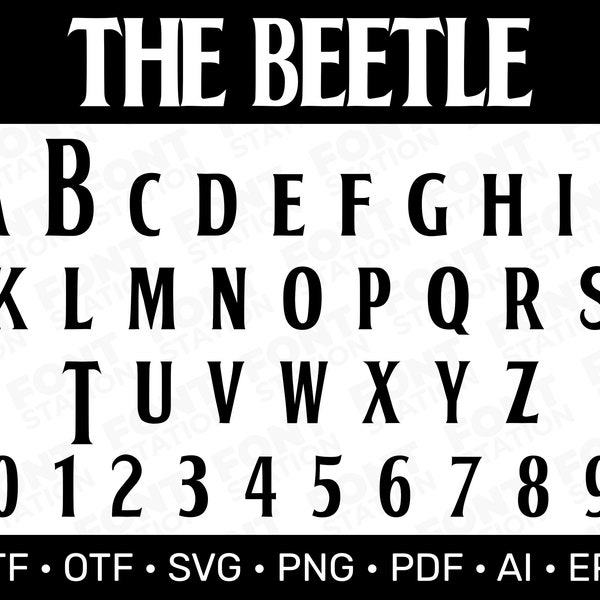 Beetle - Etsy