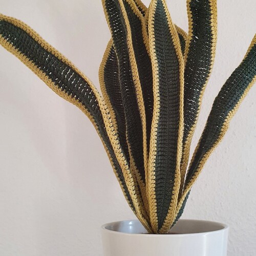 Snake Plant Crochet Pattern - Etsy