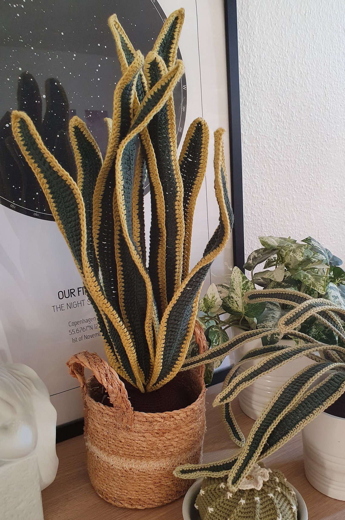 Snake Plant Crochet Pattern - Etsy