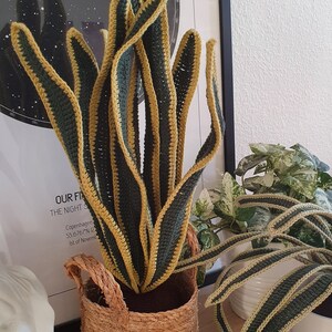Snake Plant Crochet Pattern - Etsy