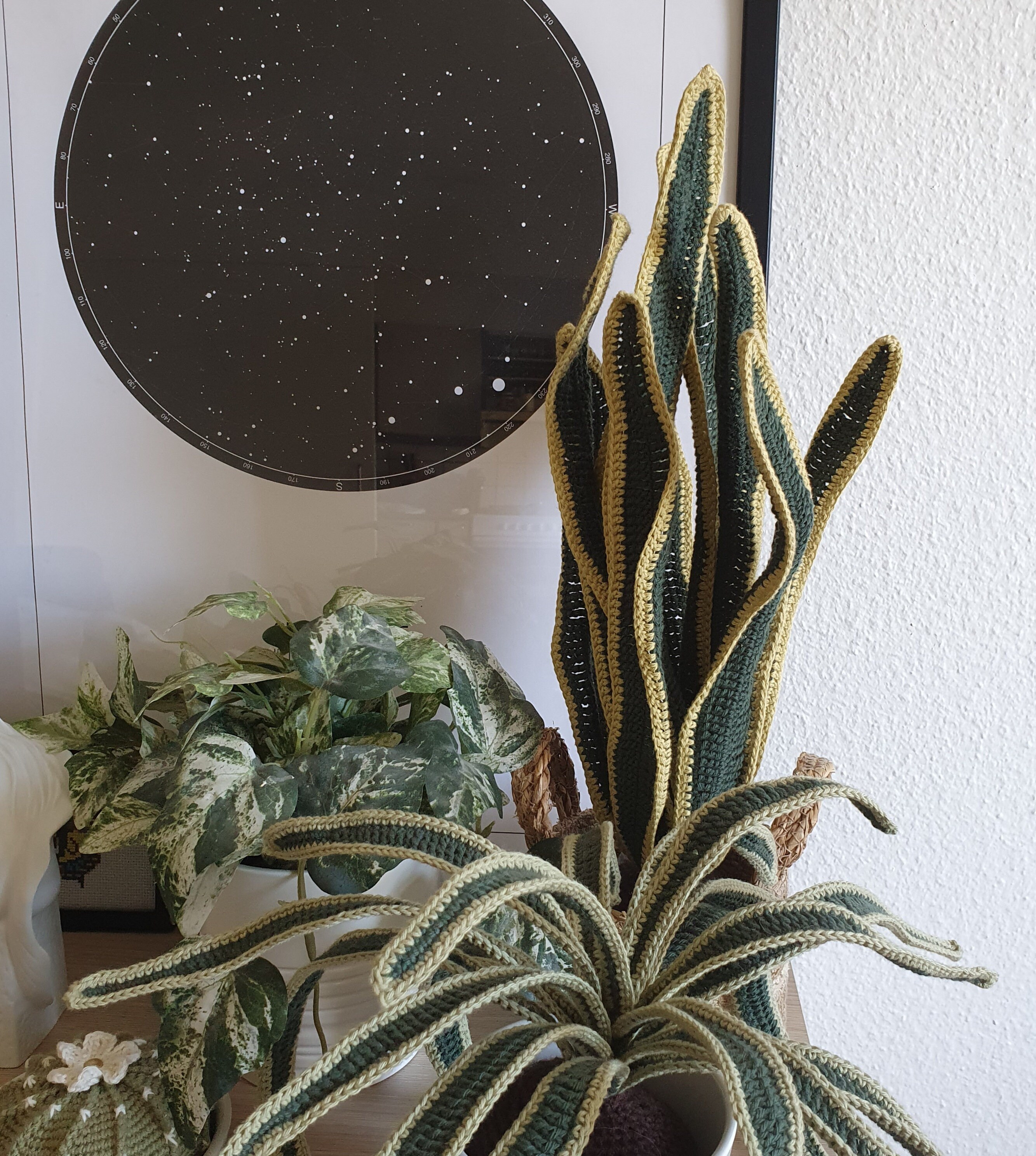 Snake Plant Crochet Pattern - Etsy