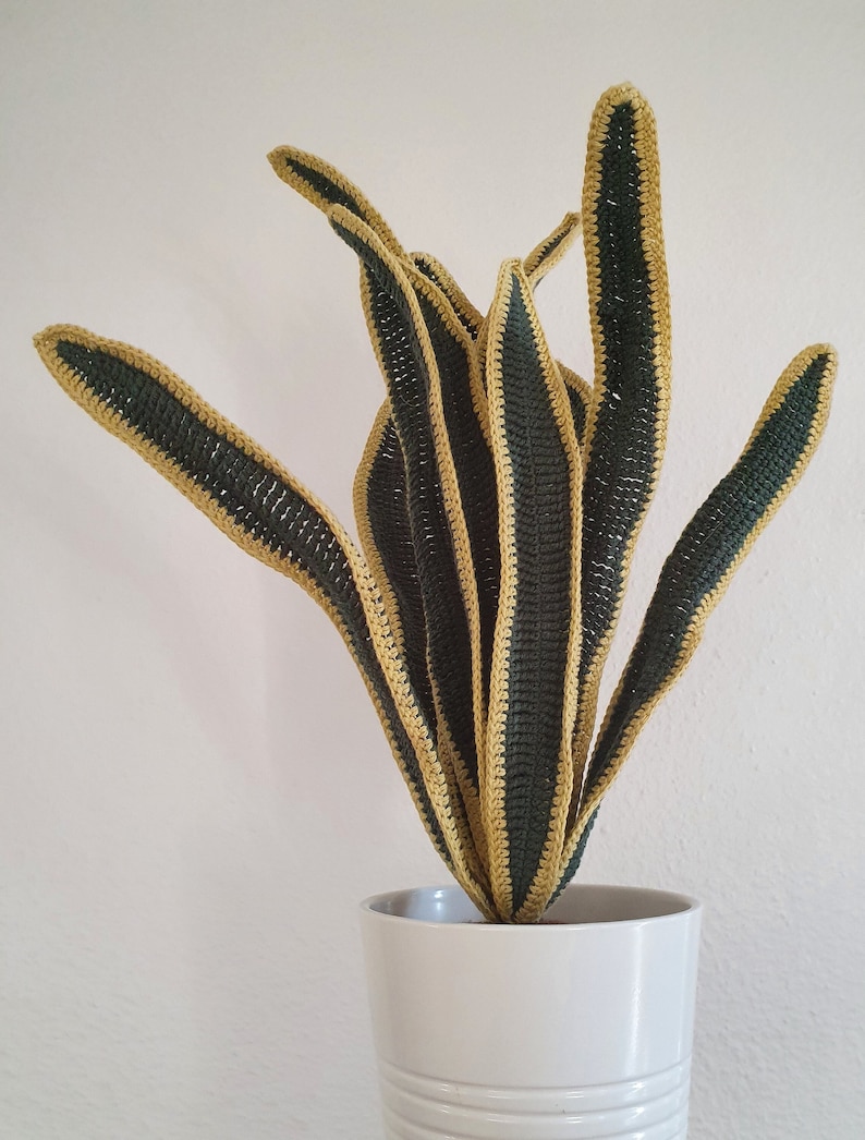 Snake Plant Crochet Pattern - Etsy