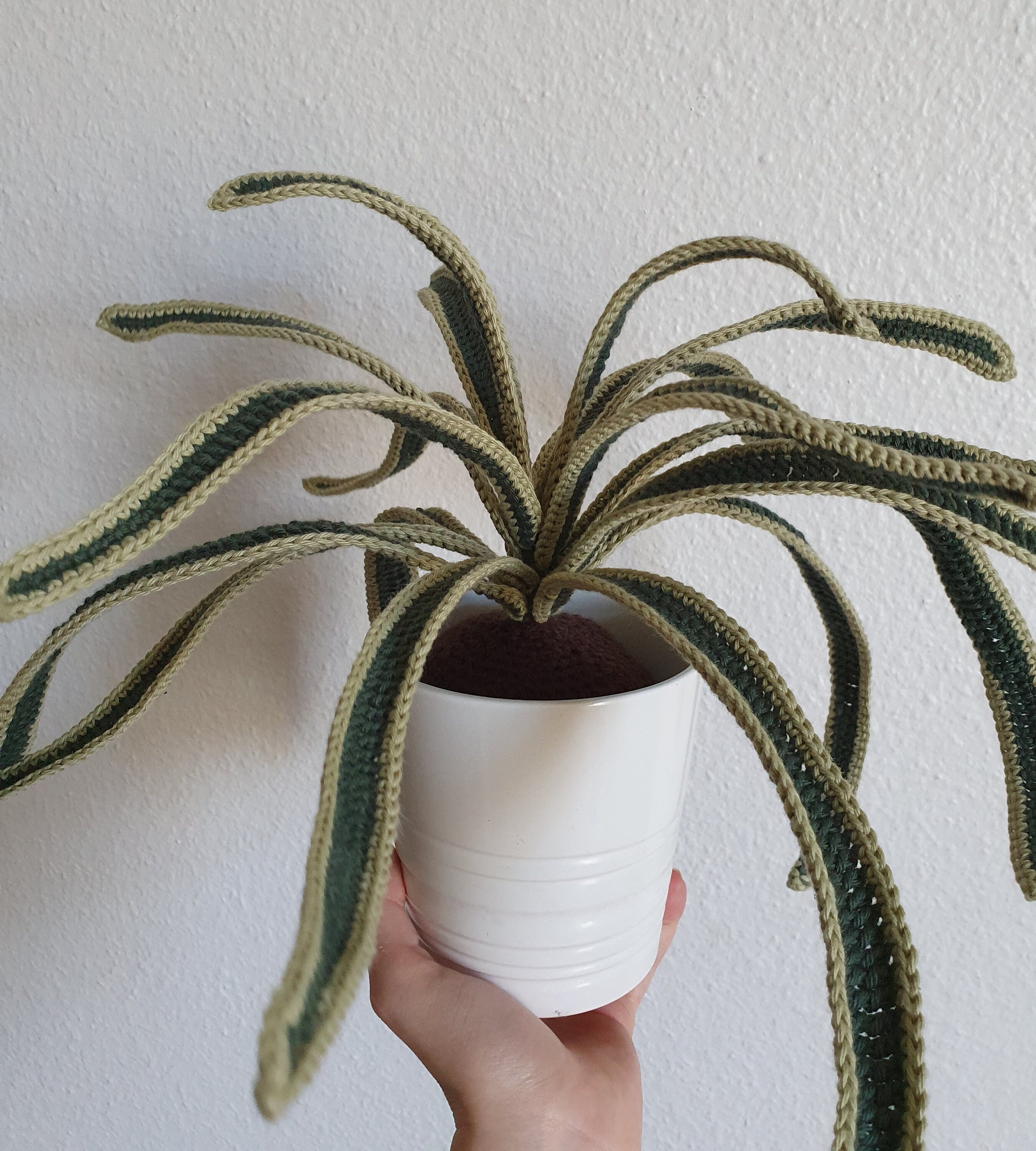 Spider Plant Crochet Pattern - Etsy