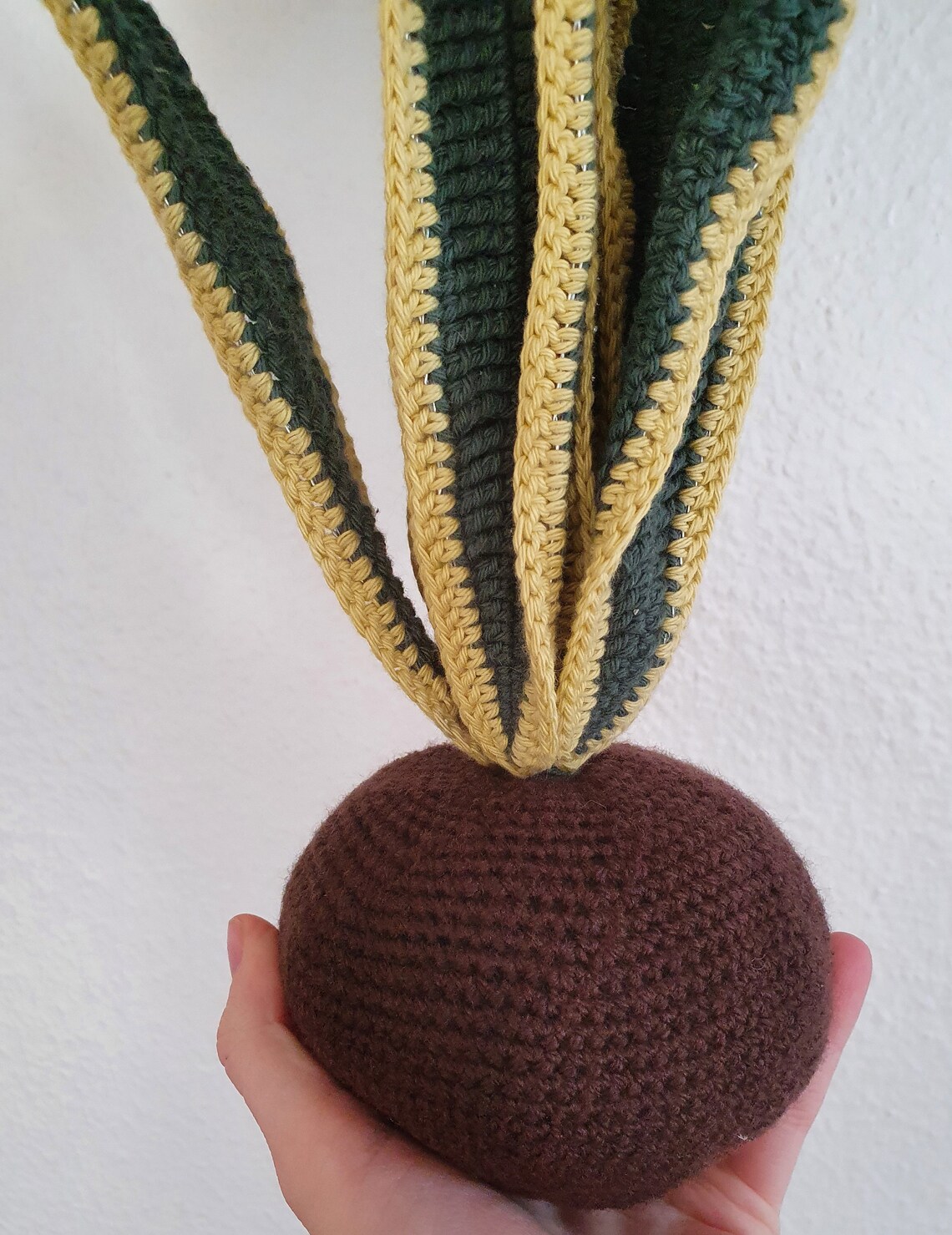 Snake Plant Crochet Pattern - Etsy