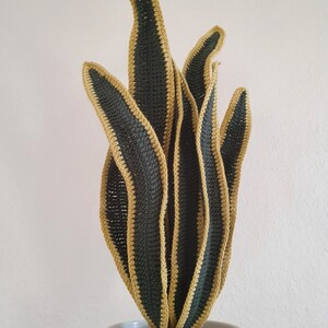 Snake Plant Crochet Pattern - Etsy