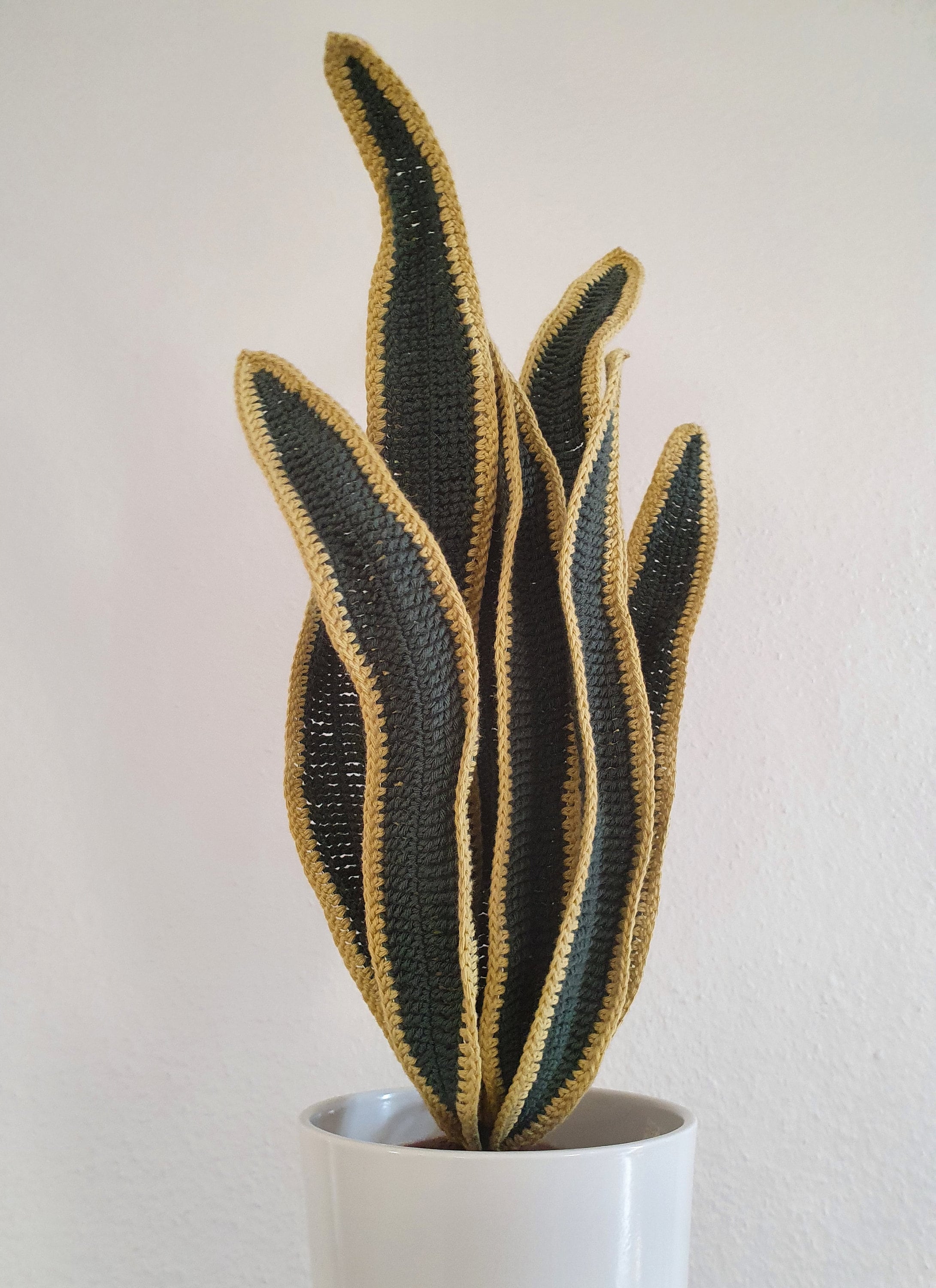 Snake Plant Crochet Pattern - Etsy