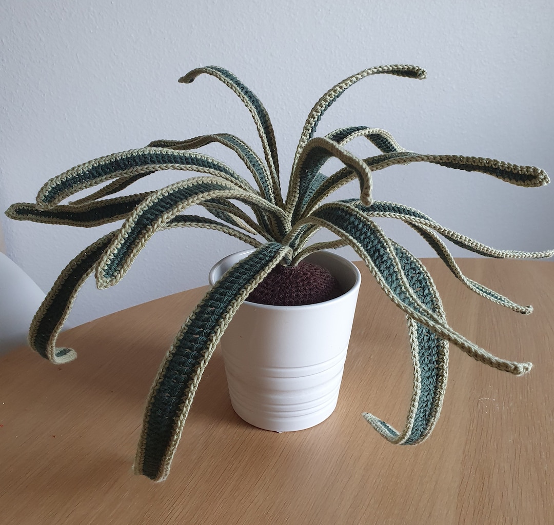 Spider Plant Crochet Pattern - Etsy