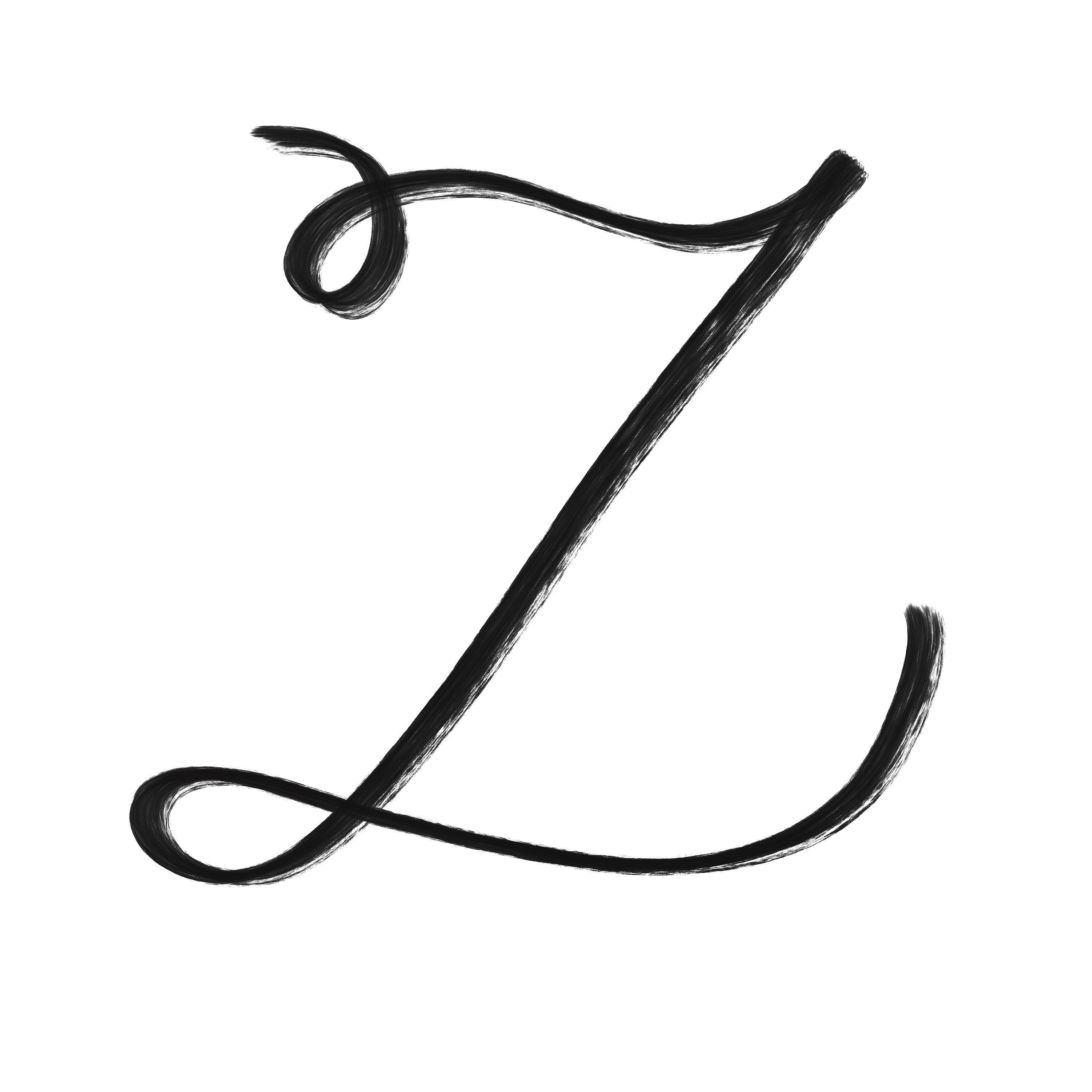 Letra mayúscula Z mayúscula pincel seco alfabeto negro cursiva - Etsy ...