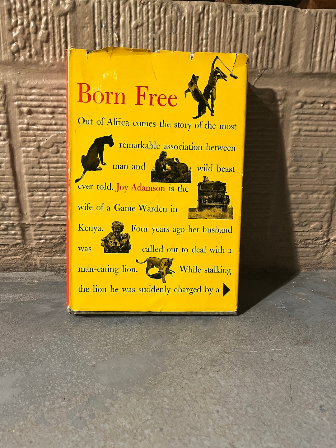 Born Free Joy Adamson 1960 First Edition - Etsy