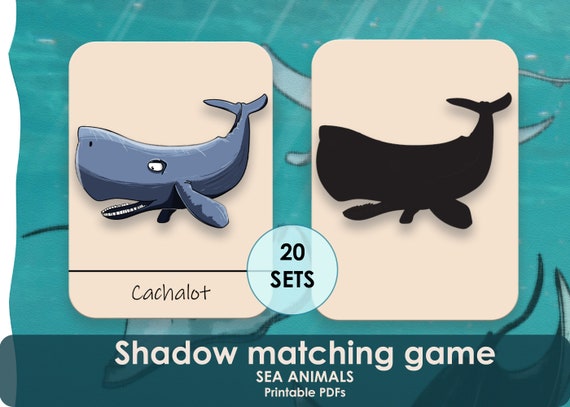 SEA ANIMAL Shadow Matching Game Printable Flashcards - Etsy