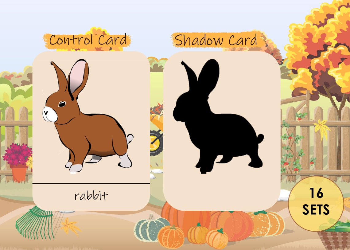 FARM Montessori SHADOW Matching Cards Preschool Printables - Etsy