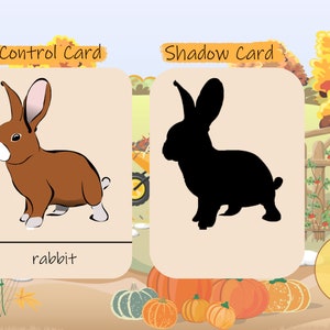 FARM Montessori SHADOW Matching Cards, Preschool Printables - Etsy