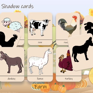 FARM Montessori SHADOW Matching Cards, Preschool Printables - Etsy