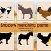 FARM Montessori SHADOW Matching Cards, Preschool Printables - Etsy