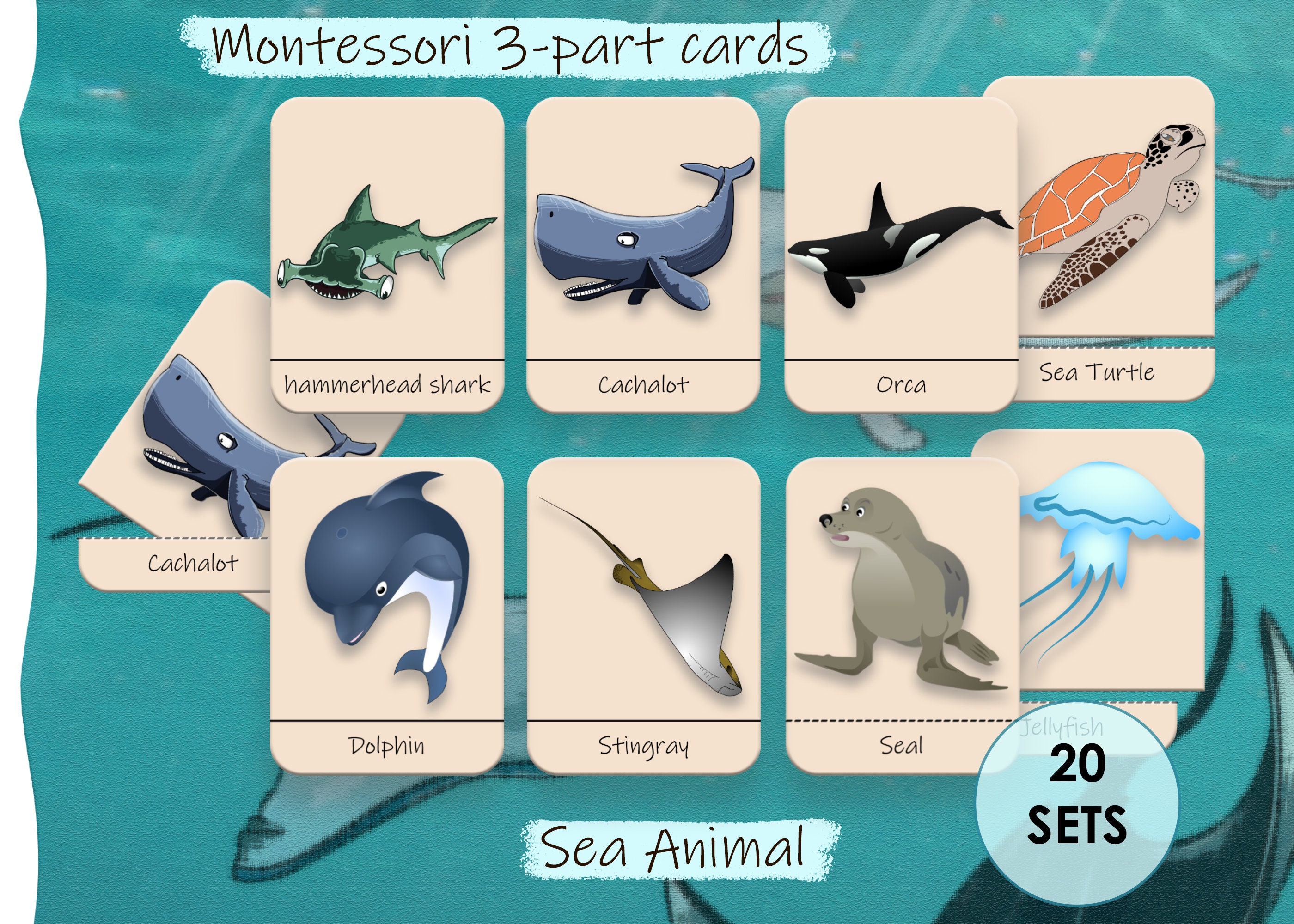 SEA ANIMALS Montessori Matching Cards Kid Flashcards - Etsy