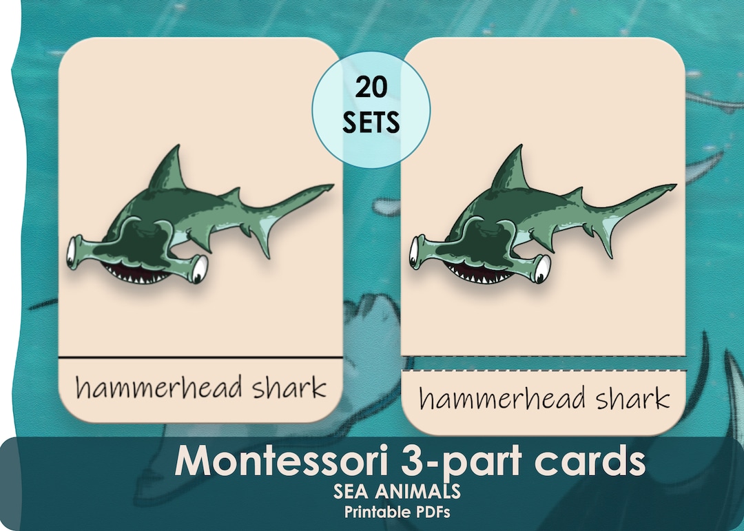 SEA ANIMALS Montessori Matching Cards, Kid Flashcards - Etsy