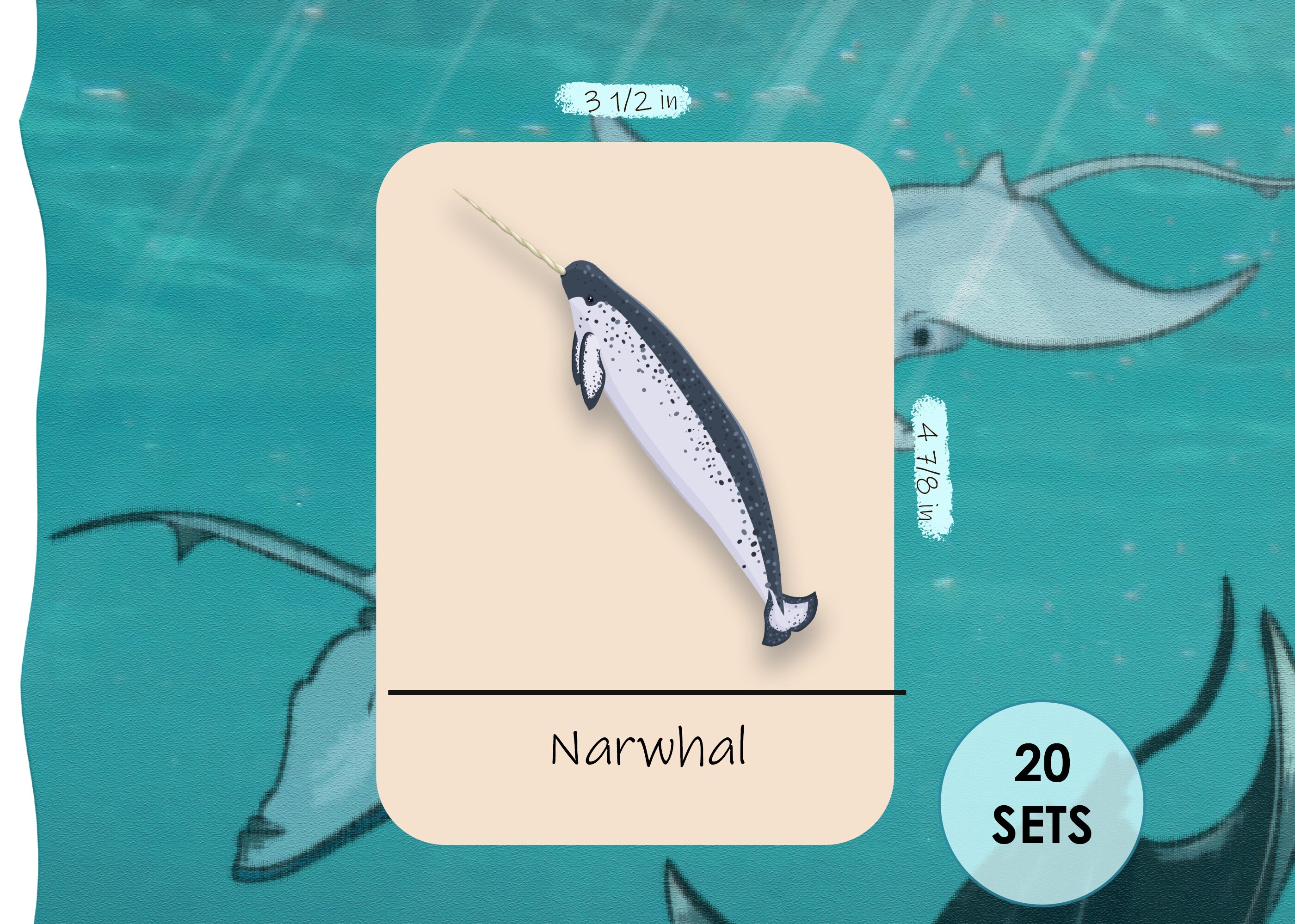 SEA ANIMALS Montessori Matching Cards, Kid Flashcards - Etsy