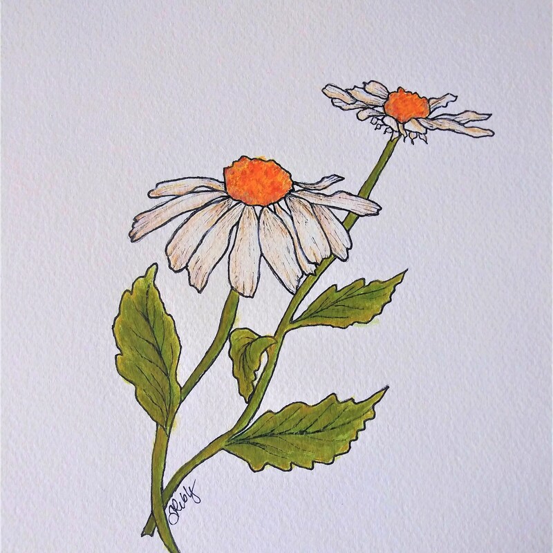 White Daisy Painting - Etsy