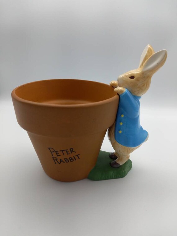 Peter Rabbit Terra Cotta Pot Peter Rabbit Fan Gift Ideas - Etsy