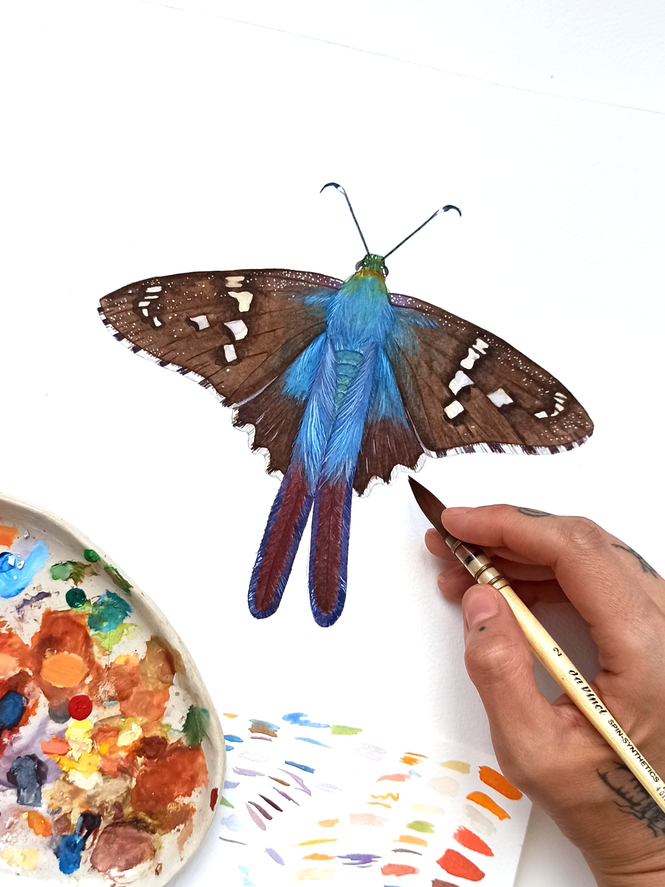 Butterfly Watercolor of Morpho Anaxibia, Madagascar Sunset Moth, Starry ...